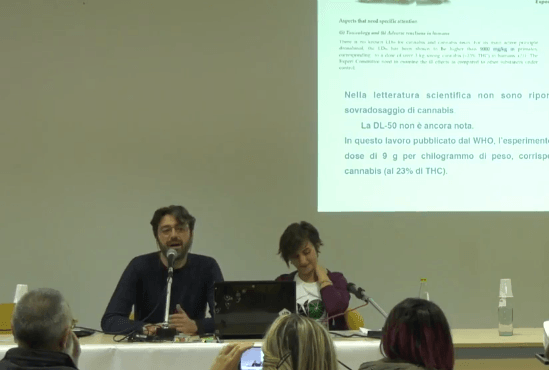 Enecta, interviews Doctor Privitera "Cannabis medical drug for everyon